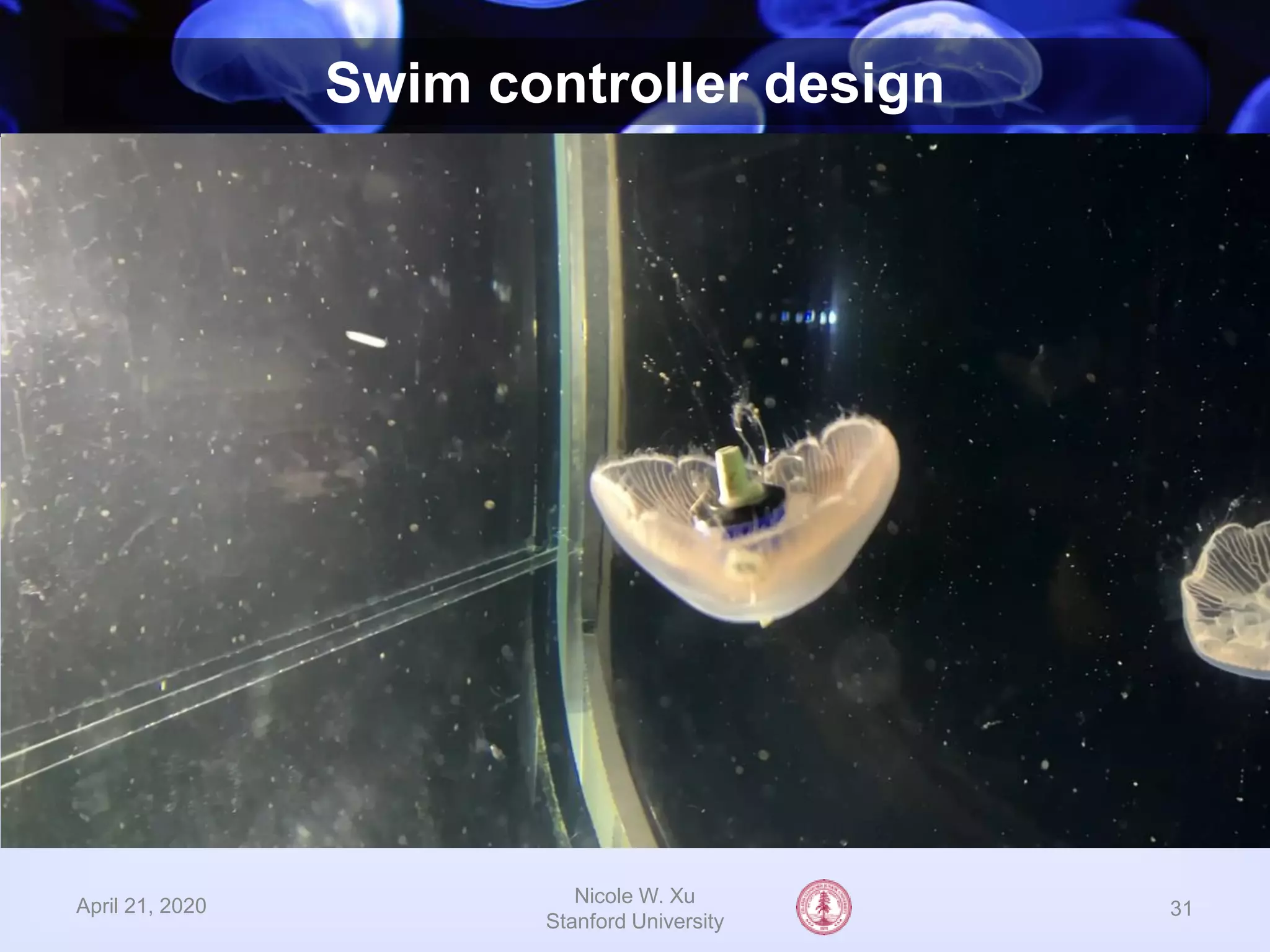 Biohybrid Robotic Jellyfish for Future Applications in Ocean Monitoring ...