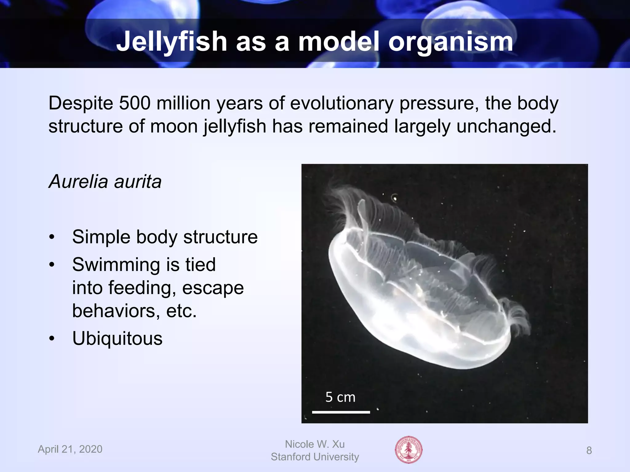 Biohybrid Robotic Jellyfish for Future Applications in Ocean Monitoring ...