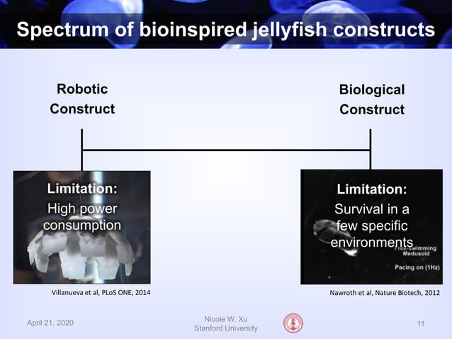 Biohybrid Robotic Jellyfish for Future Applications in Ocean Monitoring ...