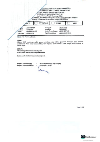 NY. ERI FITRIANI, USG MAMMAE.pdf