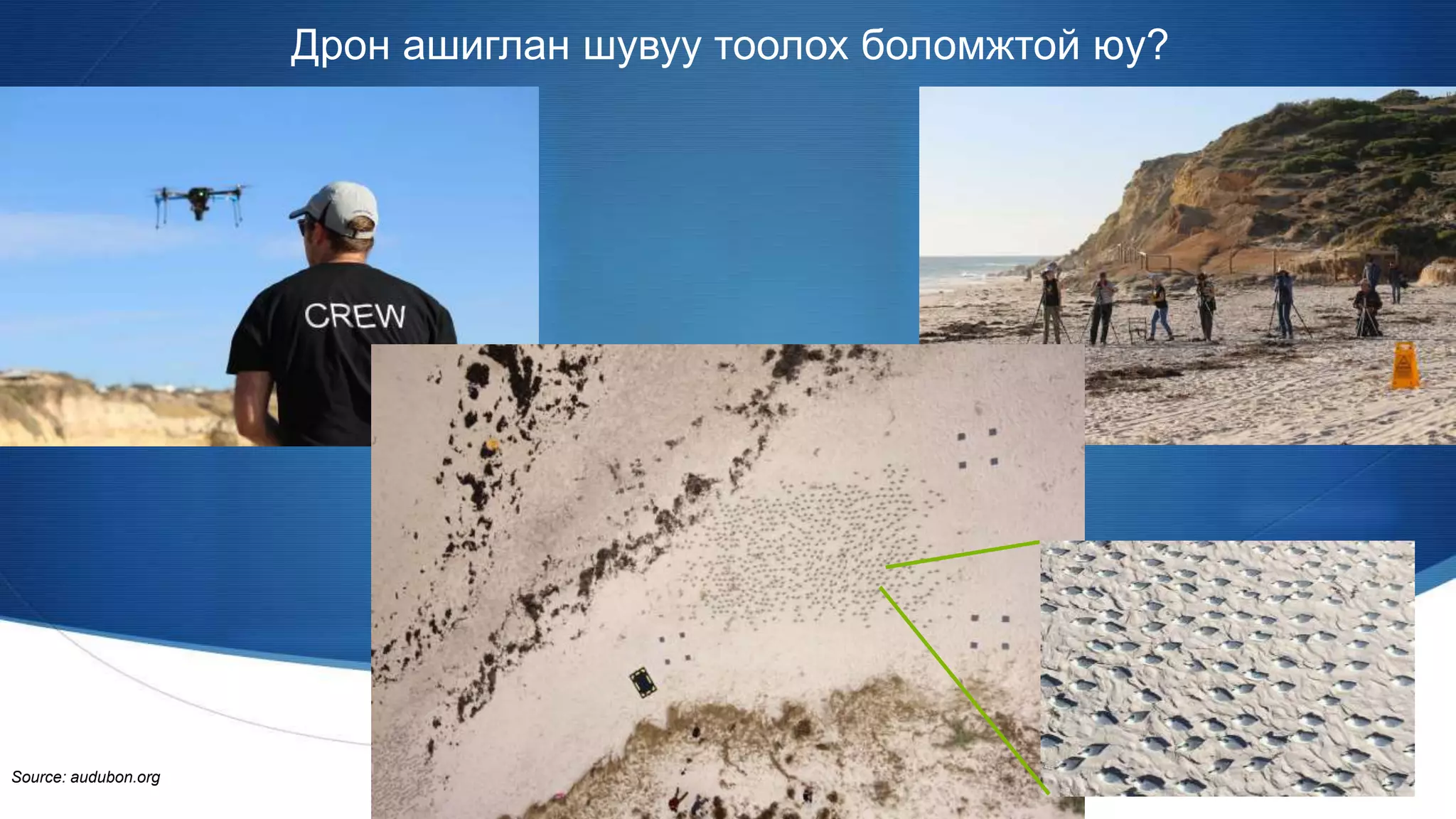 Nyambayar drone counting_birds | PPT