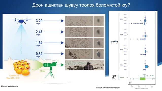 Nyambayar drone counting_birds | PPT