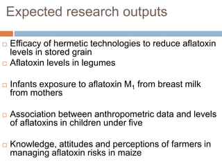 Post Harvest Management Technologies for Reducing Aflatoxin Contamination in Maize Grain and ...