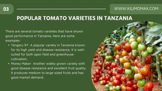 Tomato seeds | PPT
