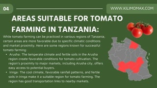 Tomato Overview.pptx