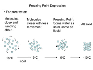 Nyb F09 Unit 2 Slides 1 25 | PPT