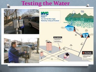 NYC Water | PPTX