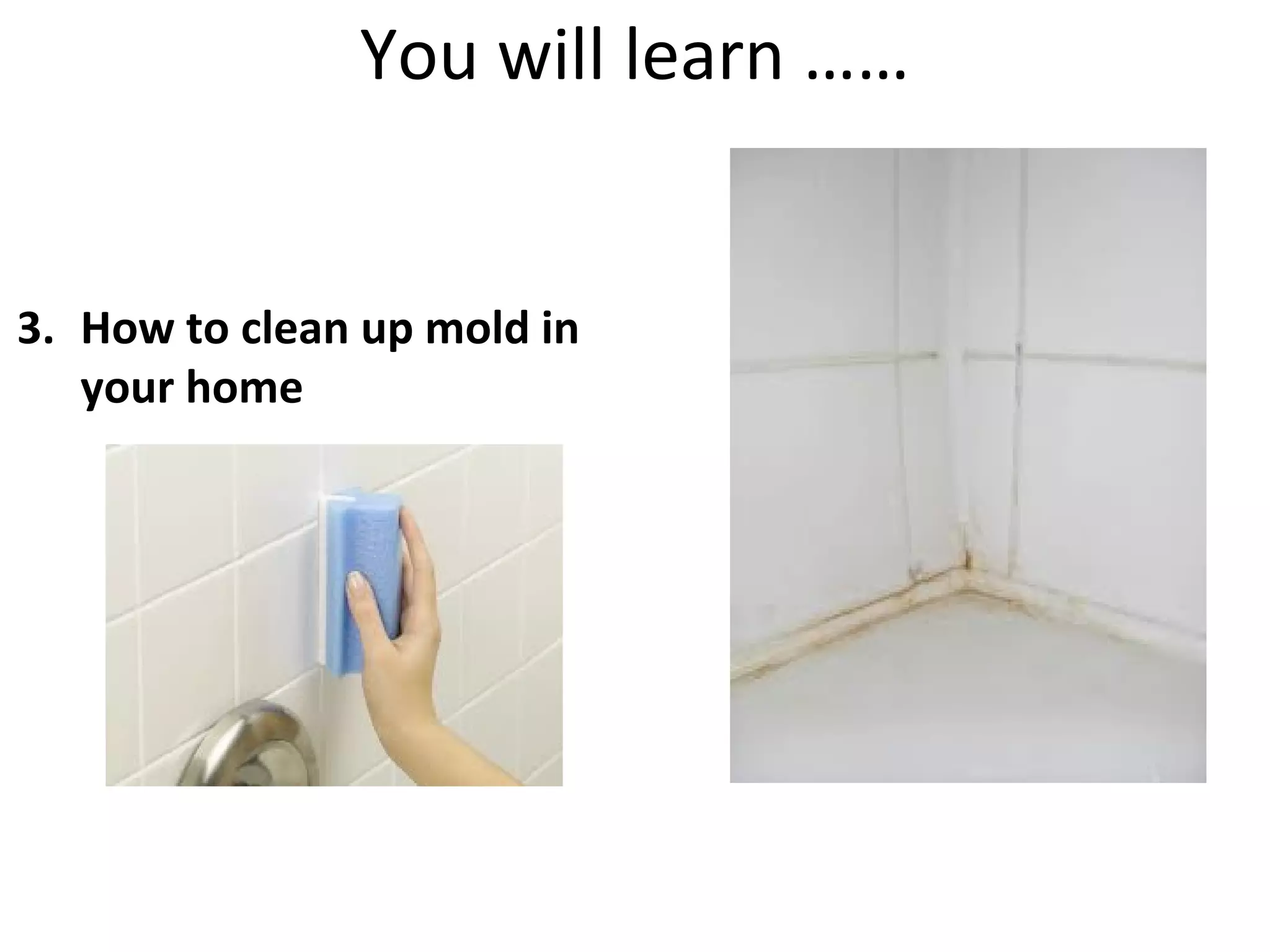 NYCHA Mold Awareness Presentation | PDF