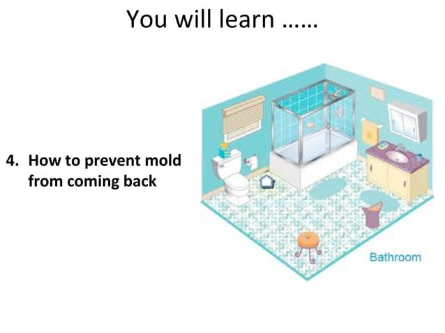NYCHA Mold Awareness Presentation | PDF
