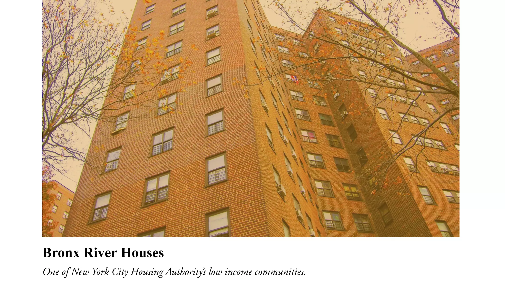 NYCHA Bronx River Houses Mathematical Landscapes | PDF