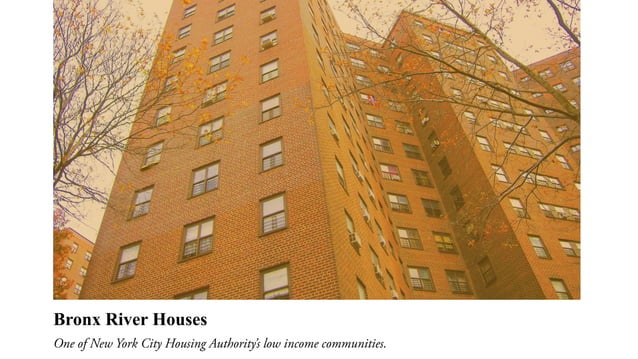 NYCHA Bronx River Houses Mathematical Landscapes | PPT