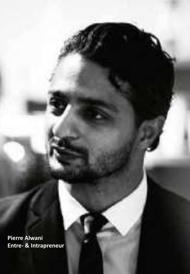 CV Pierre Alwani | PDF