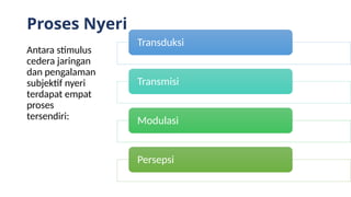 Patofisiologi nyeri dan jaras jaras nyeri 1 | PPTX