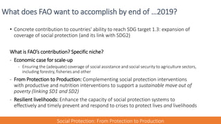 NY_FAO_Framework_Presentation_May_2017-3.pptx