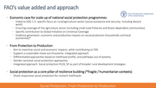 NY_FAO_Framework_Presentation_May_2017-3.pptx