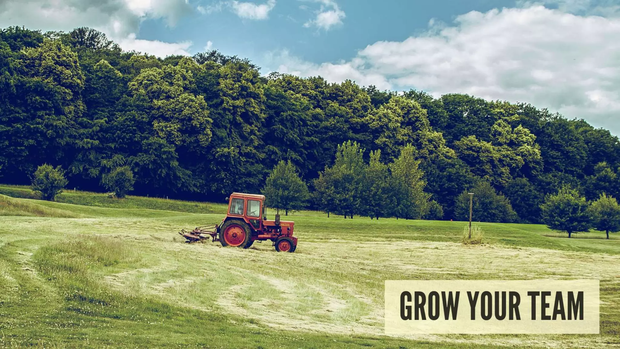 Nykki Yeager: Motivate Your Team With Individual Performance Metrics ...