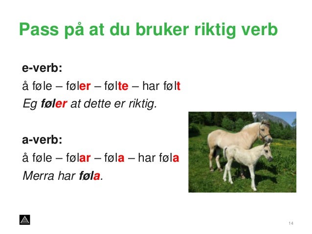 Eksamenskurs Sølvberget 2015 - 10 nynorsktips