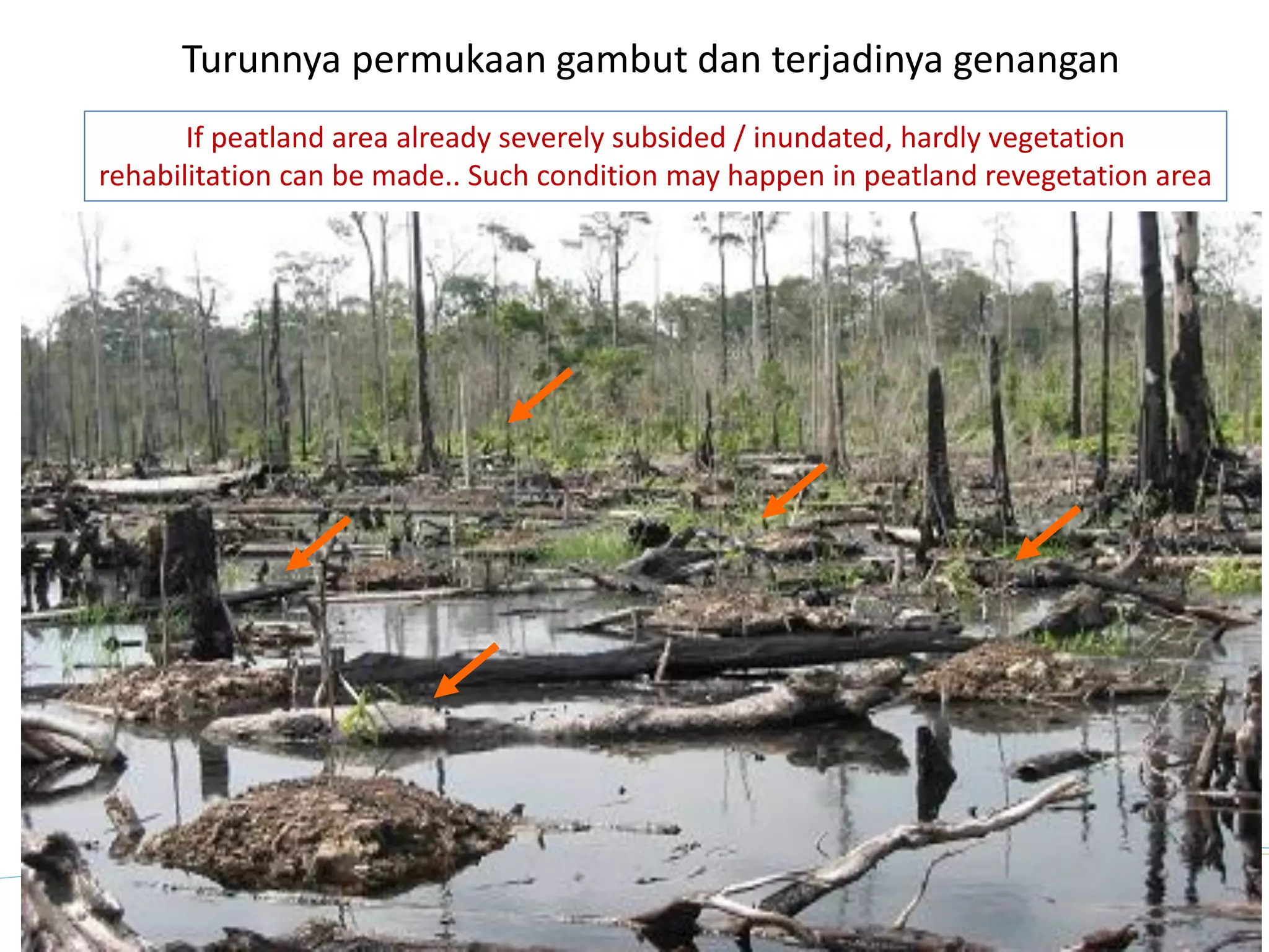 Tantangan dalam pengelolaan ekosistem gambut di Indonesia | PDF