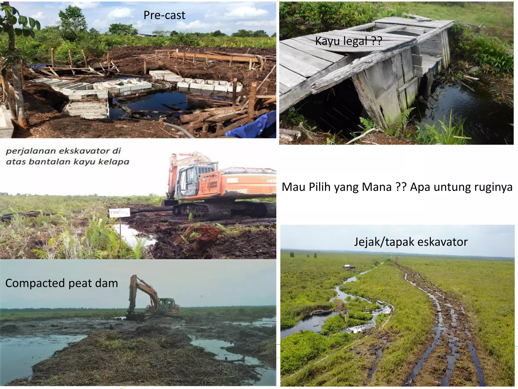 Tantangan dalam pengelolaan ekosistem gambut di Indonesia | PDF