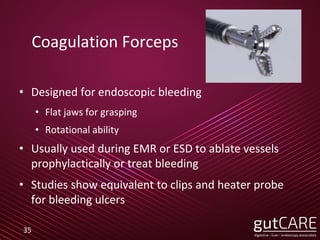 Heater Probe Endoscopy