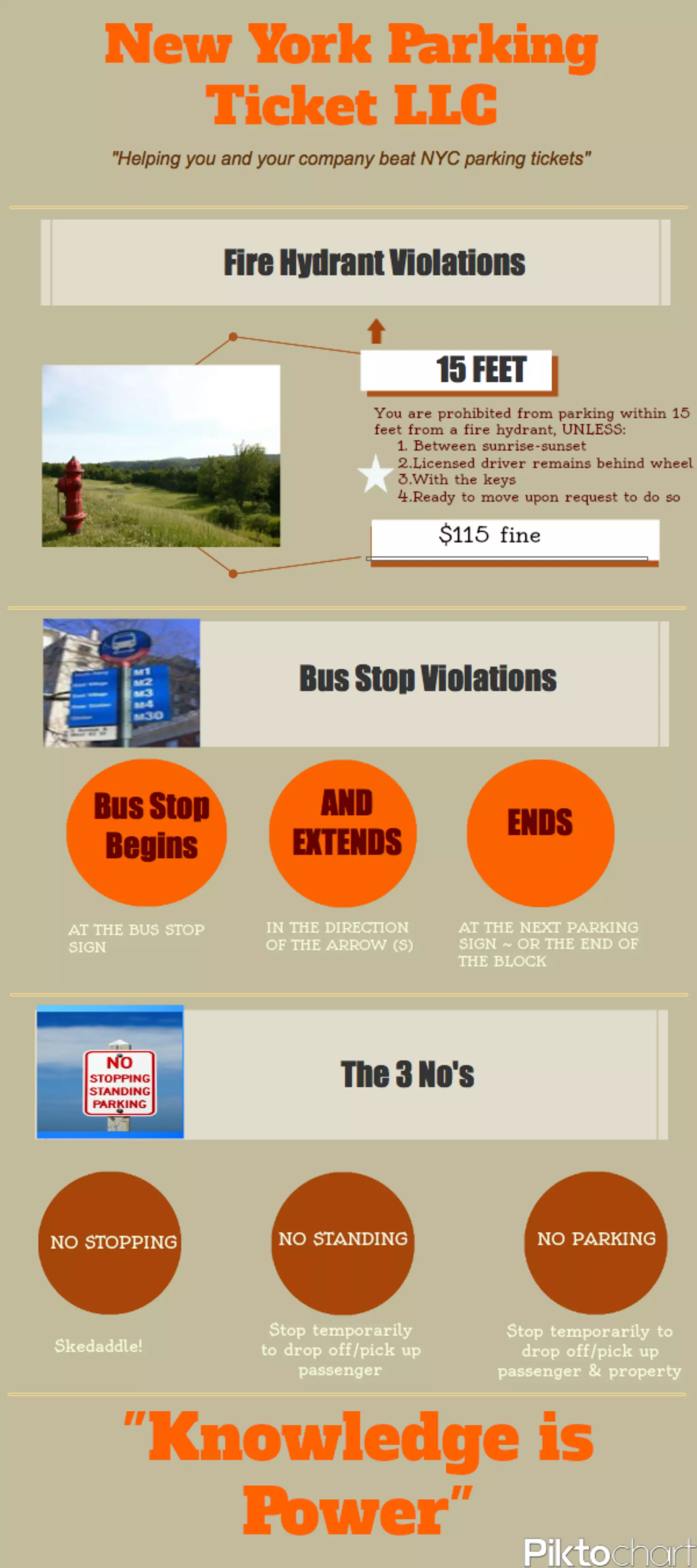 NYC Parking Ticket Infographics | PDF