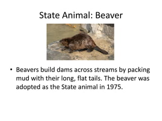 New York State Facts | PPTX