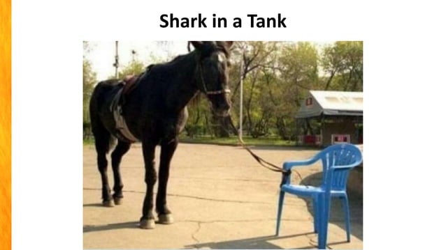 Digital And Social Media For Implementation And Monitoring Of Nyks Projects Ppt