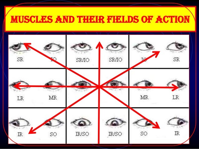 update of Nystagmus 14 11-2012