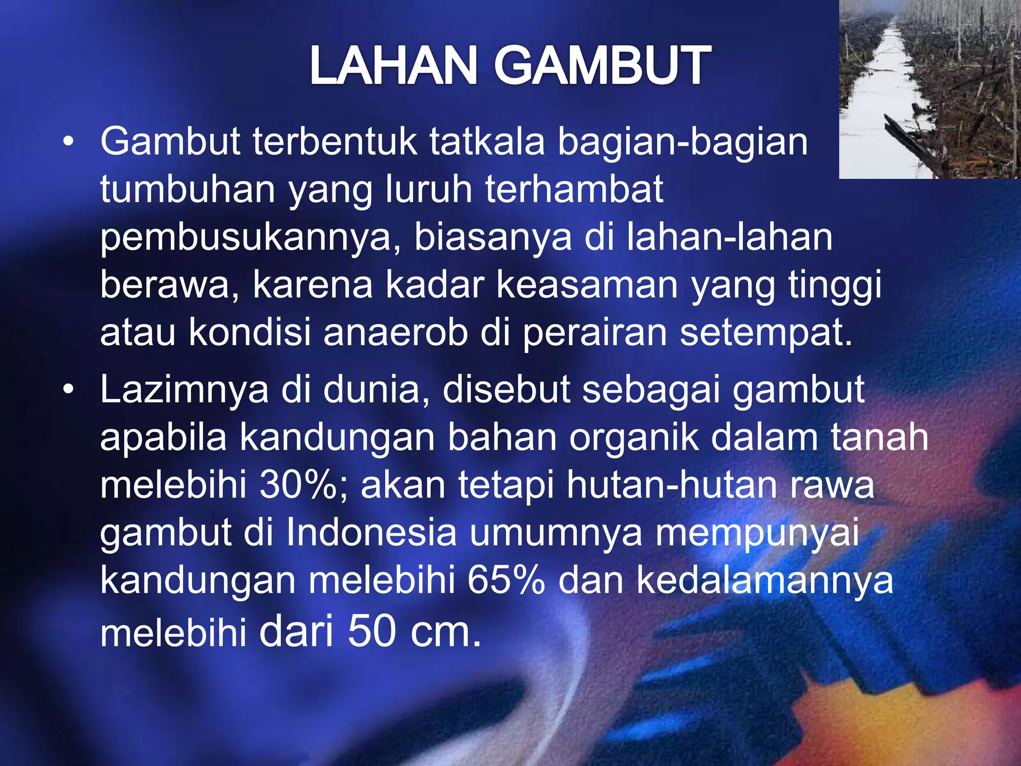 Pengelolaan lahan gambut | PPT