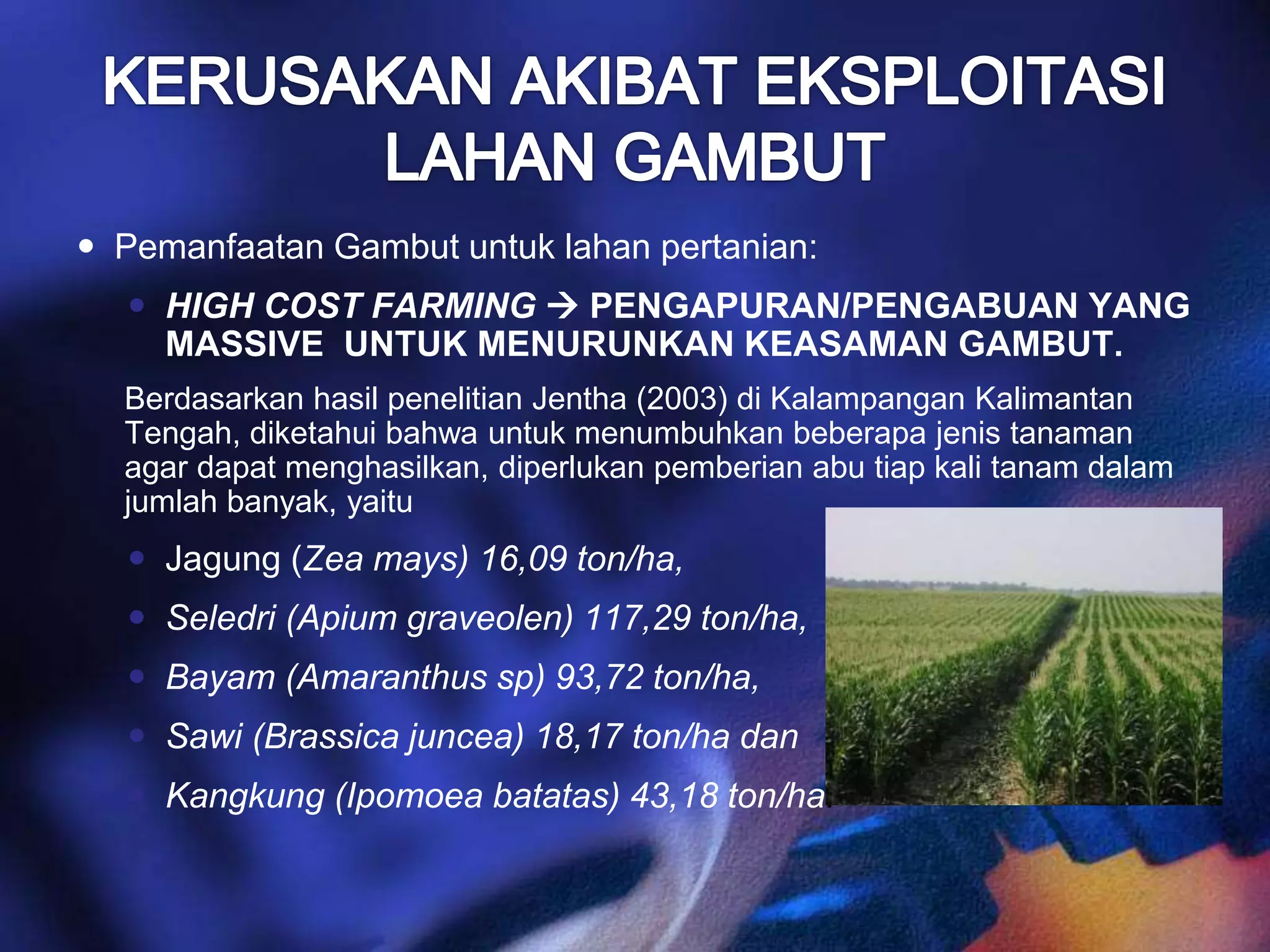 Pengelolaan lahan gambut | PPT