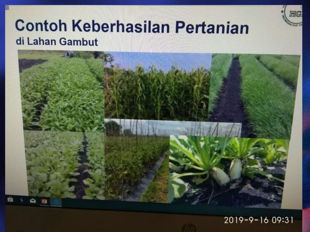 Pengelolaan lahan gambut | PPT