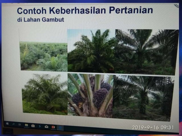 Pengelolaan lahan gambut | PPT