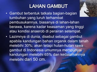 Pengelolaan lahan gambut | PPT