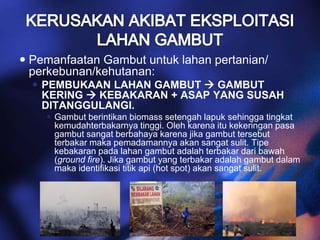 Pengelolaan lahan gambut | PPT