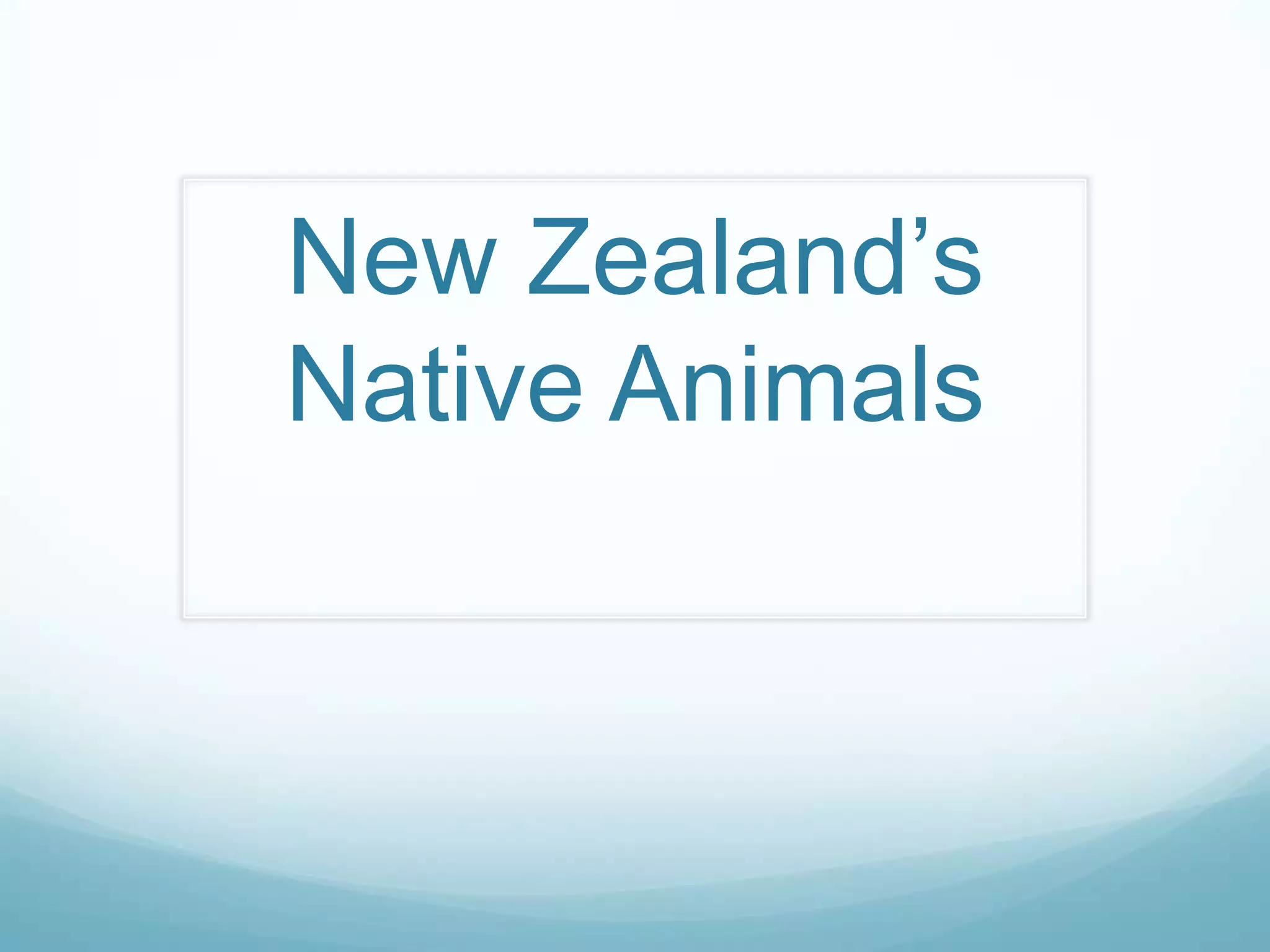 Nz native animals | PPTX