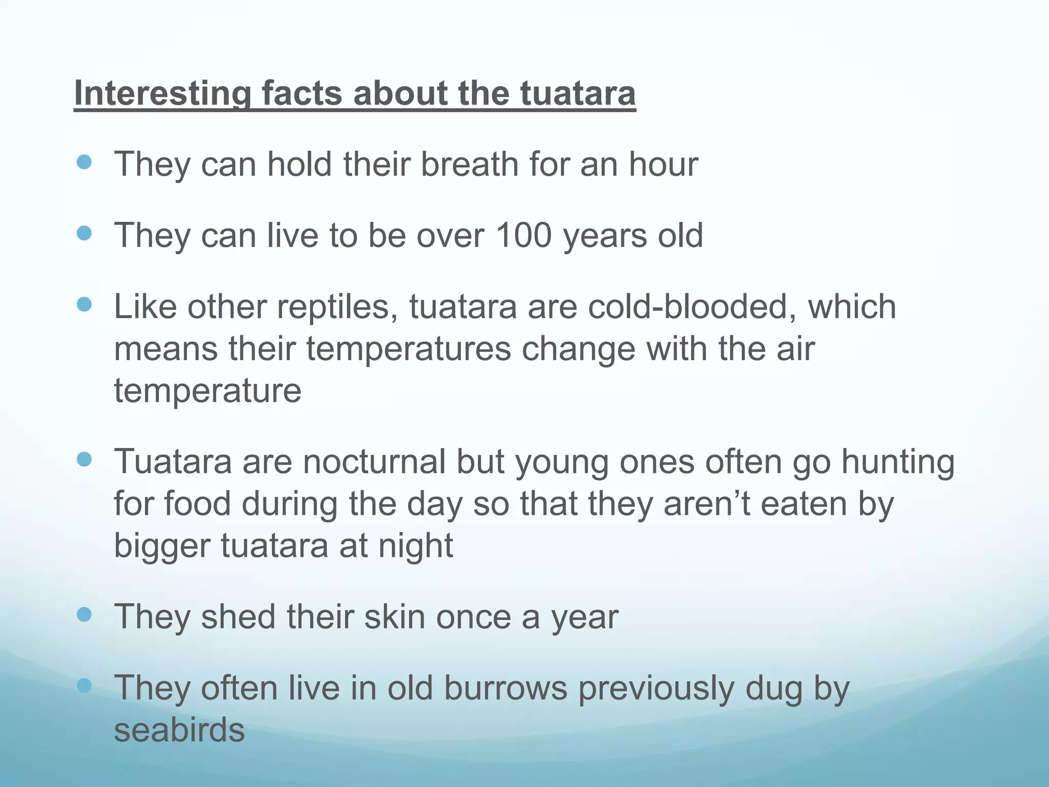 Nz native animals | PPTX