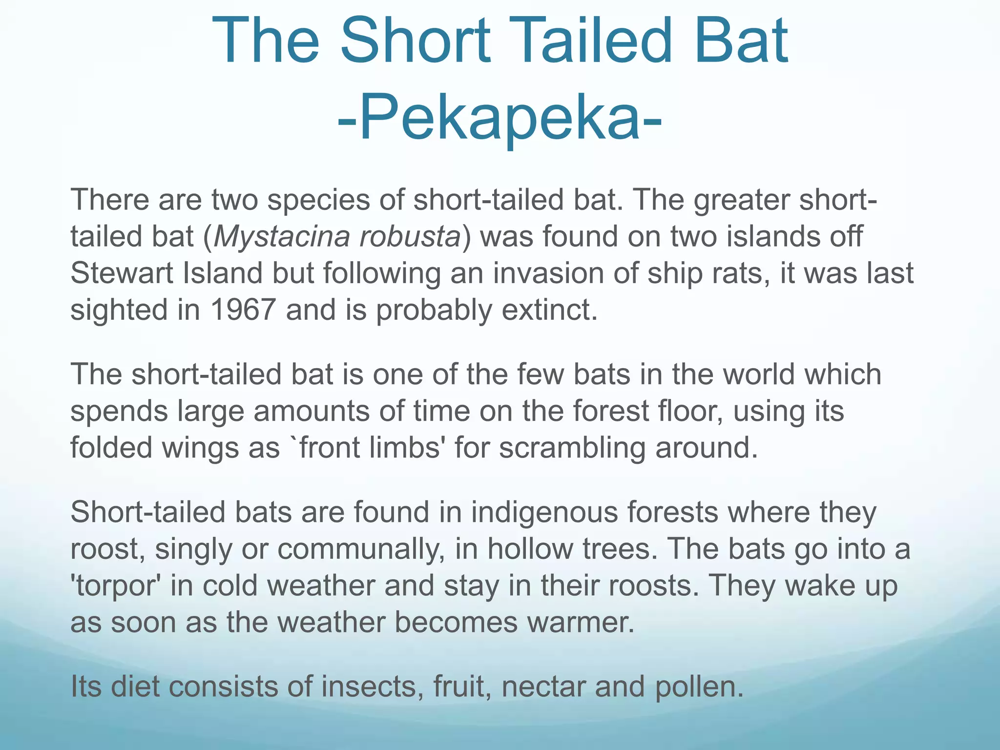 Nz native animals | PPTX