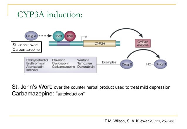 Nz pep lecture_jan2016