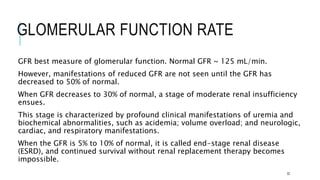 RENAL ANATOMY , PHYSIOLOGY AND ANESTHESIA | PPTX