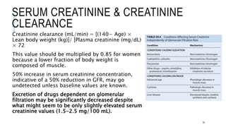 RENAL ANATOMY , PHYSIOLOGY AND ANESTHESIA | PPTX