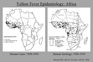 Yellow Fever: Risk Mapping | PPT