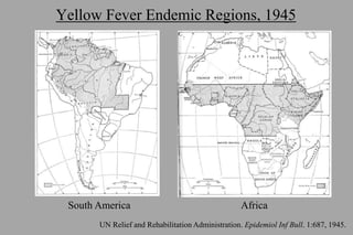 Yellow Fever: Risk Mapping | PPT