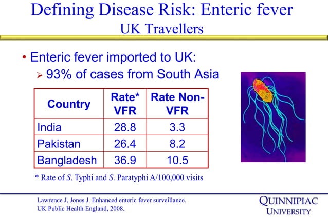 Yellow Fever: Risk Mapping | PPT