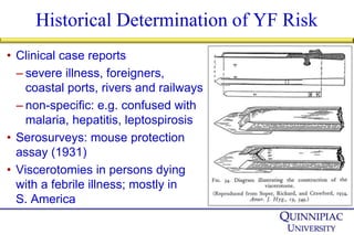 Yellow Fever: Risk Mapping | PPT