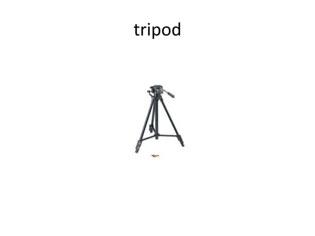 Ped/Pod Words | PPTX
