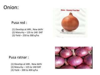 Advance variety of cool season vegetable and their specific character ...