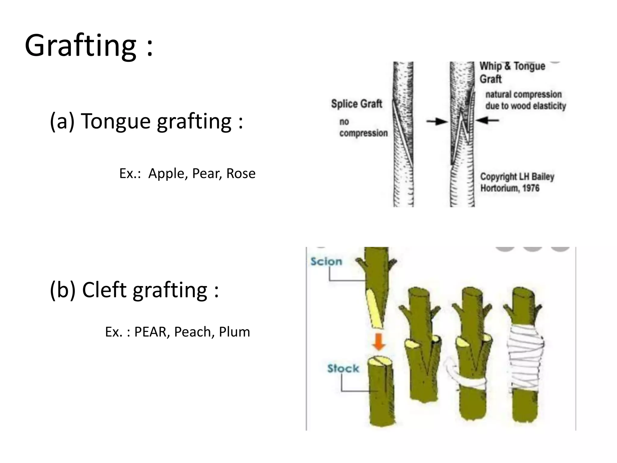 Use Of Propagation Structure In Propagation Ppt