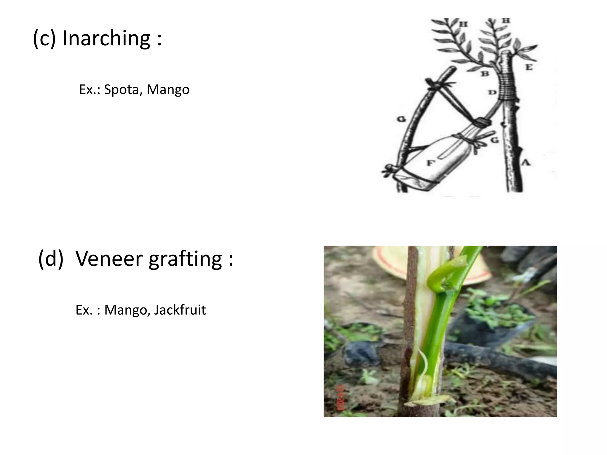 Use of propagation structure in propagation | PPTX