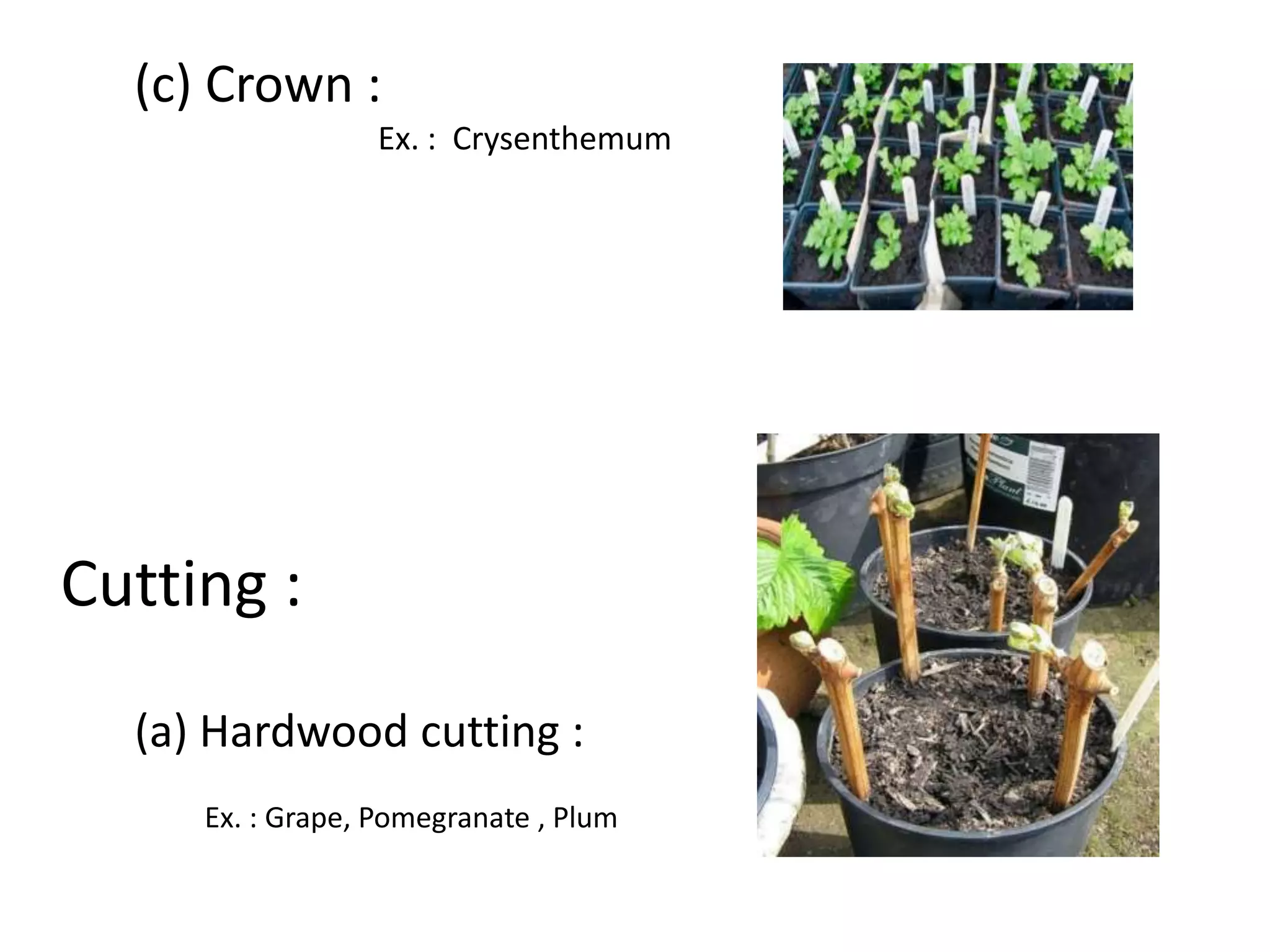 Use of propagation structure in propagation | PPTX