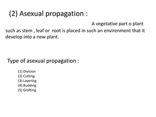 Use of propagation structure in propagation | PPTX